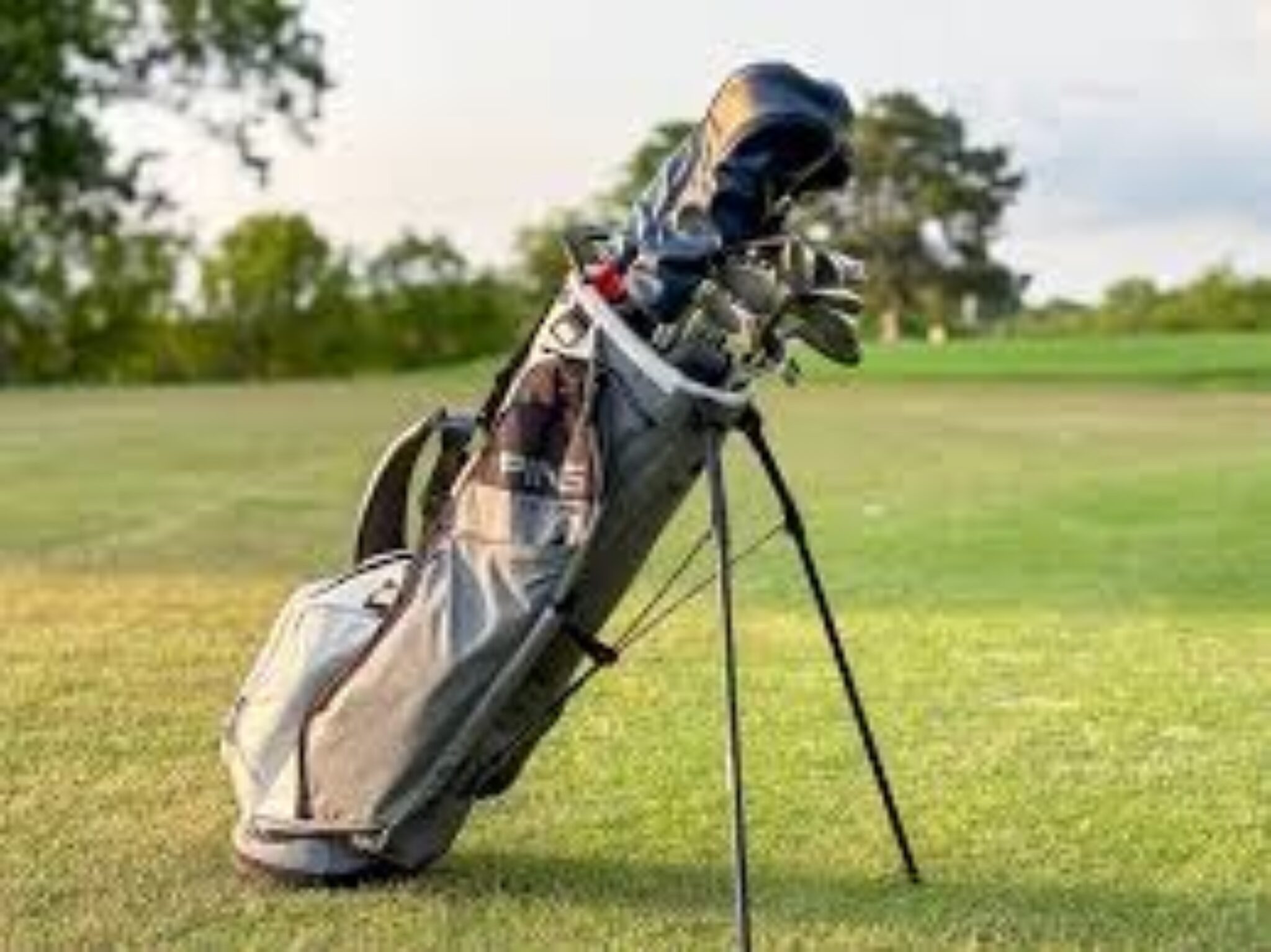 Top 10 Best Golf Cart Bags 2025 – Homeless Assist